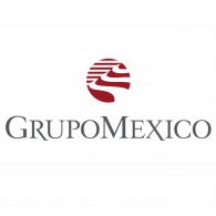 Grupo Mexico - What the Logo?